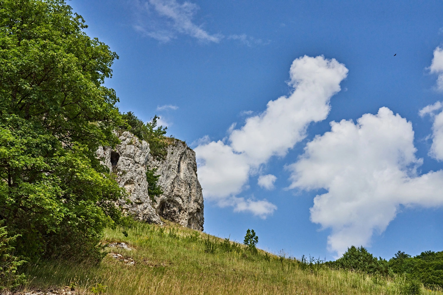 Schwäbische Alb: Gipfel, Höhlen & Streuobstwiesen
