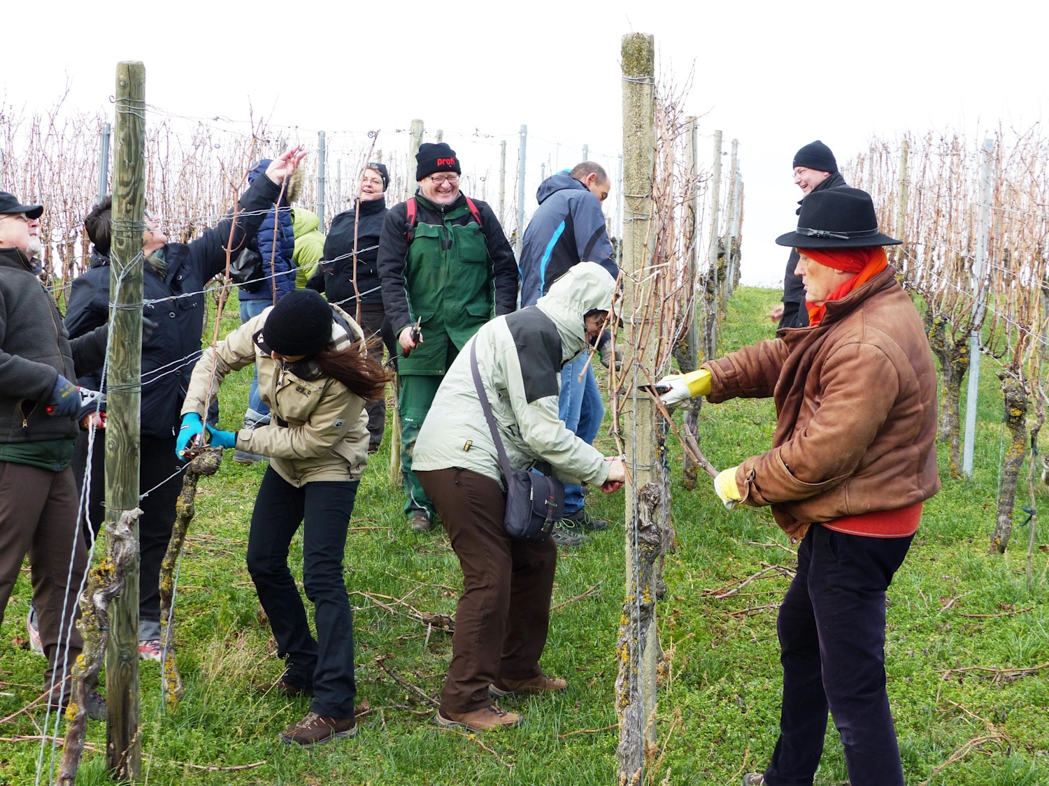 Winter wine events in Baden-Württembeg
