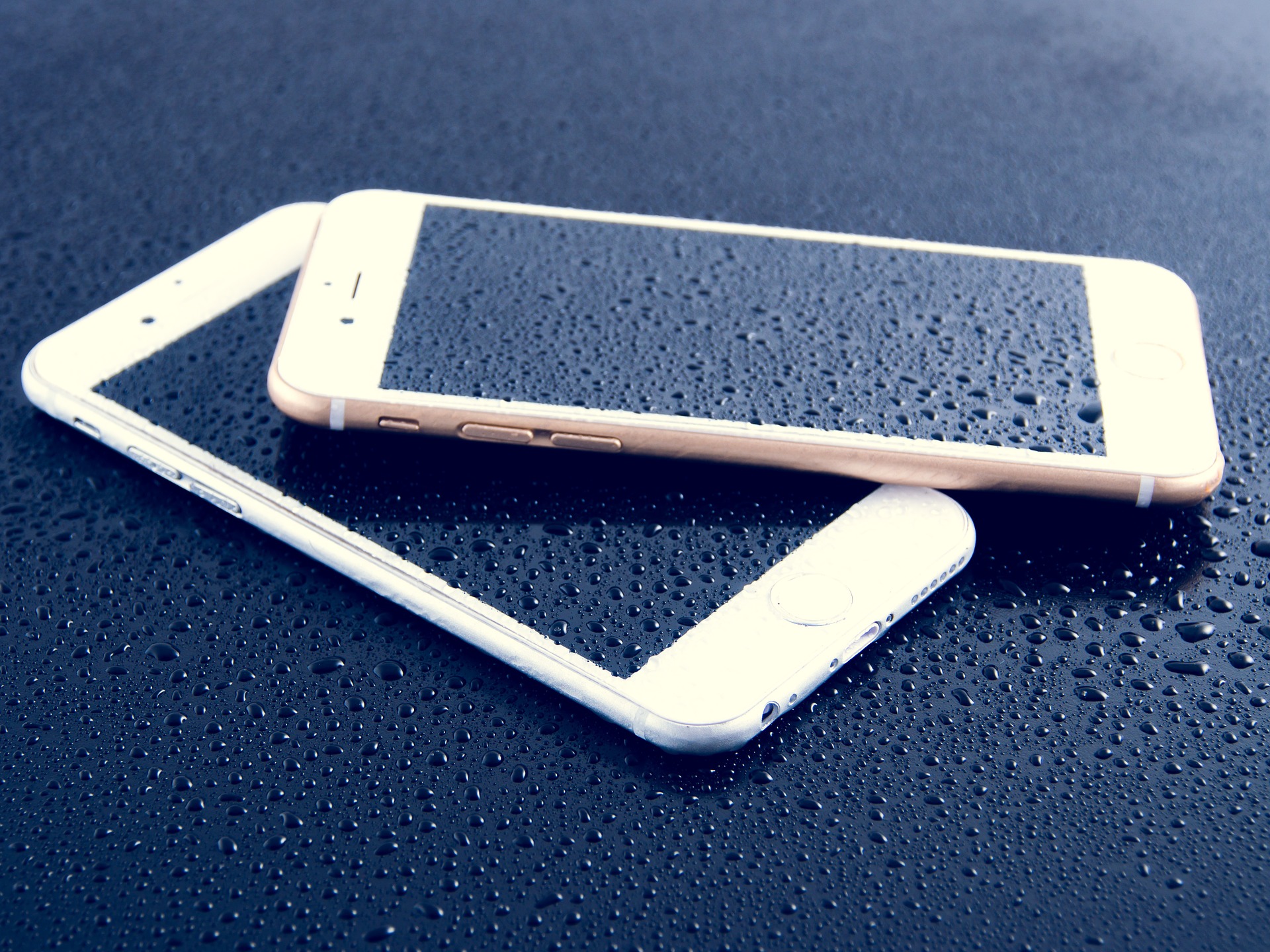 What iPhones Are Waterproof? | Life and Style Daily
