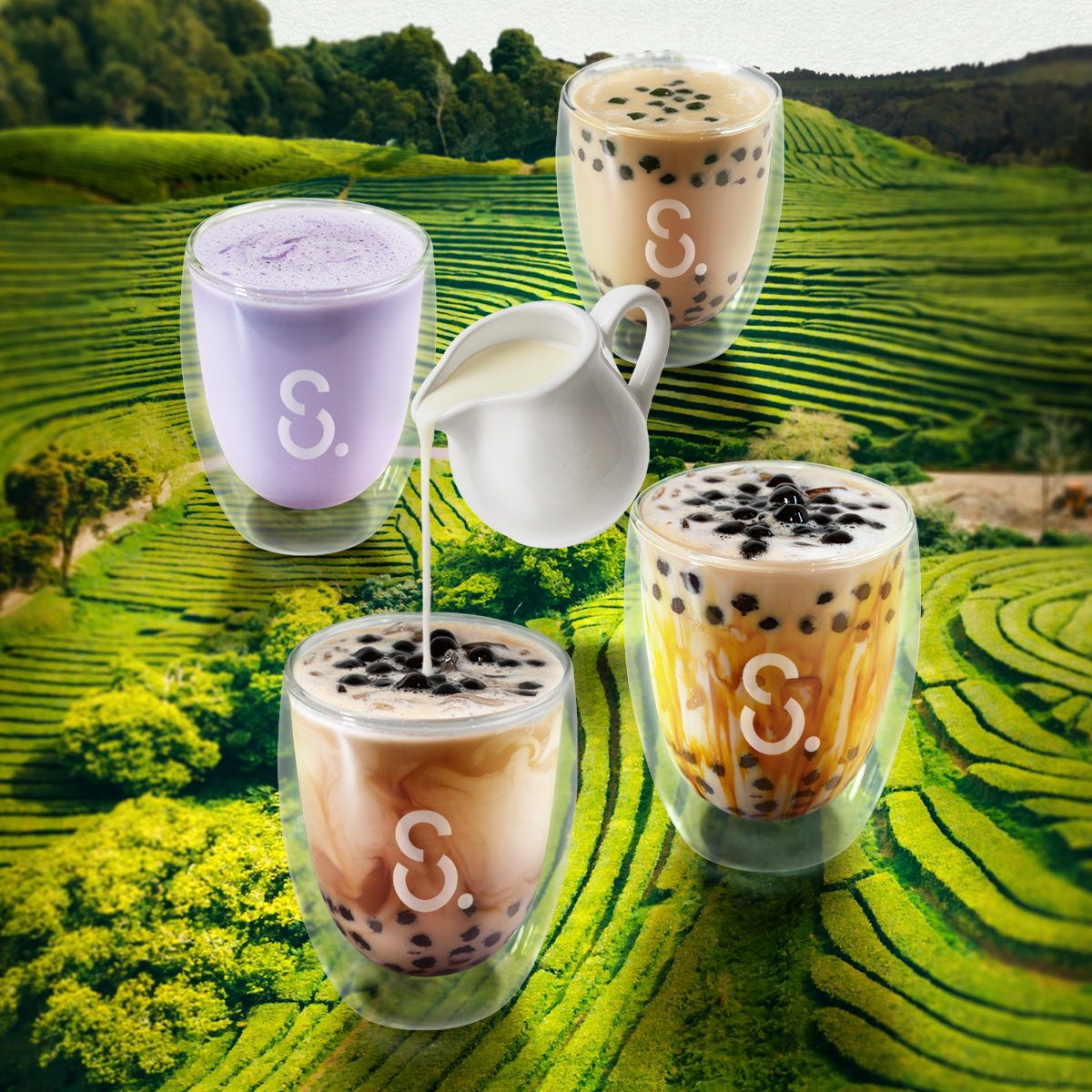 Sharetea: New leaves, fresh milk